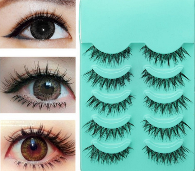 TripleClicks.com: 5 Pairs Natural False Eyelashes Eyelash Soft Long ...