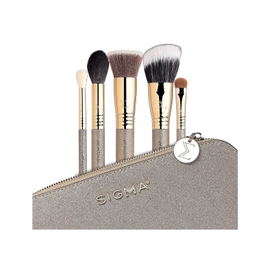 TripleClicks.com: Sigma Beauty Radiant Glow Makeup Brush Set